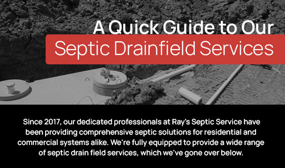 A Quick Guide to Our Septic Drainfield Services [infographic] | Ray's Septic Service
